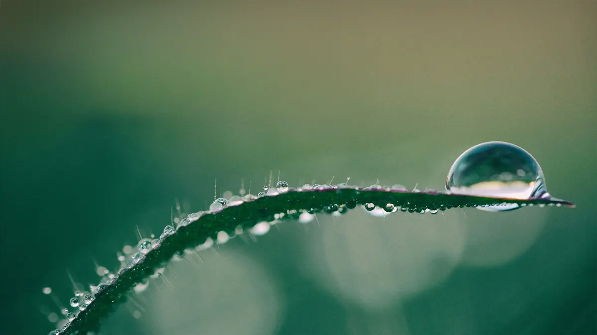 Water Asset Refurbishment Contractors | Stonbury